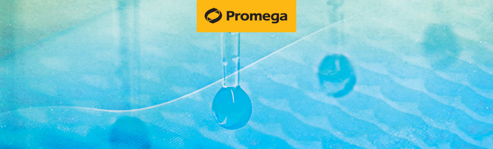 The YHRD Database: How It Works and How to Use It in Casework