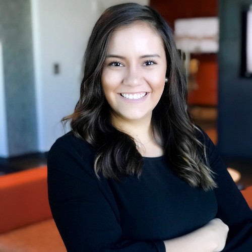 The Big Reveal: A First Look at DemandAI+