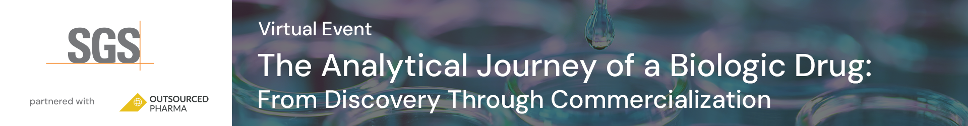The Analytical Journey of a Biologic Drug: From Discovery Through ...